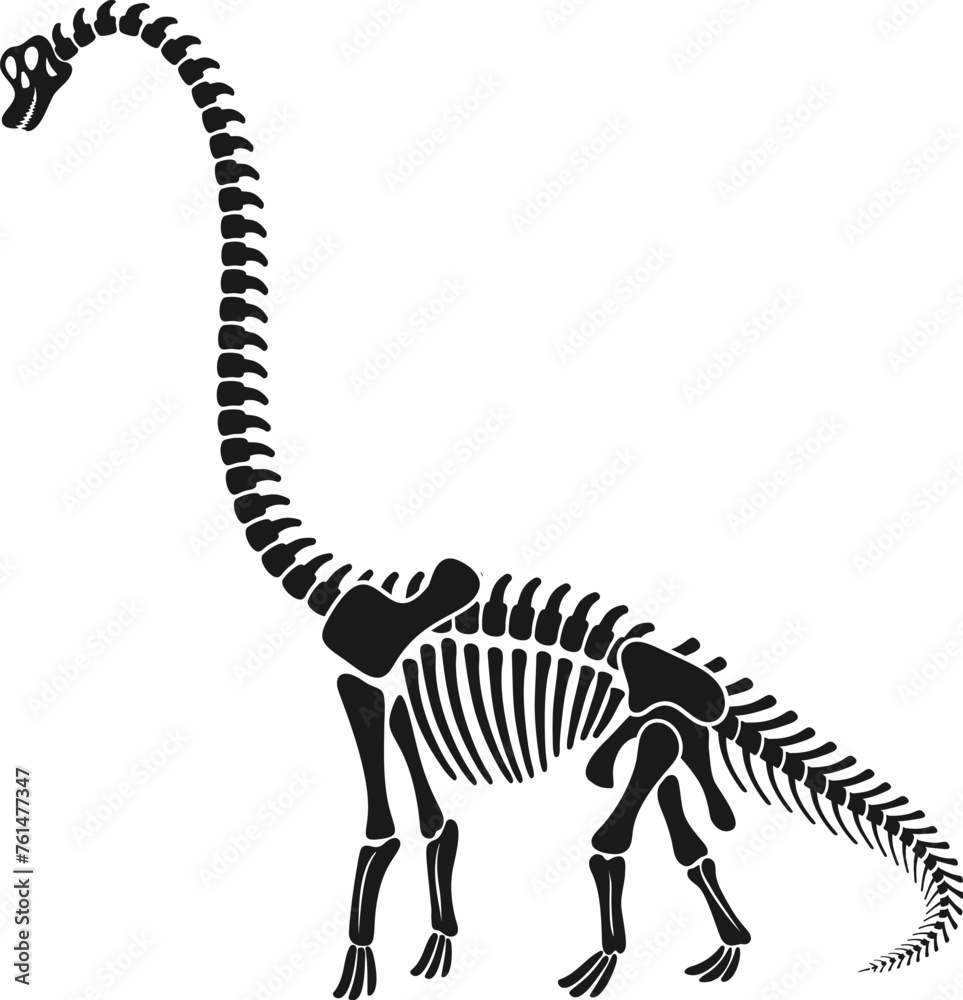 Isolated brachiosaurus dinosaur skeleton fossil, dino bones black ...