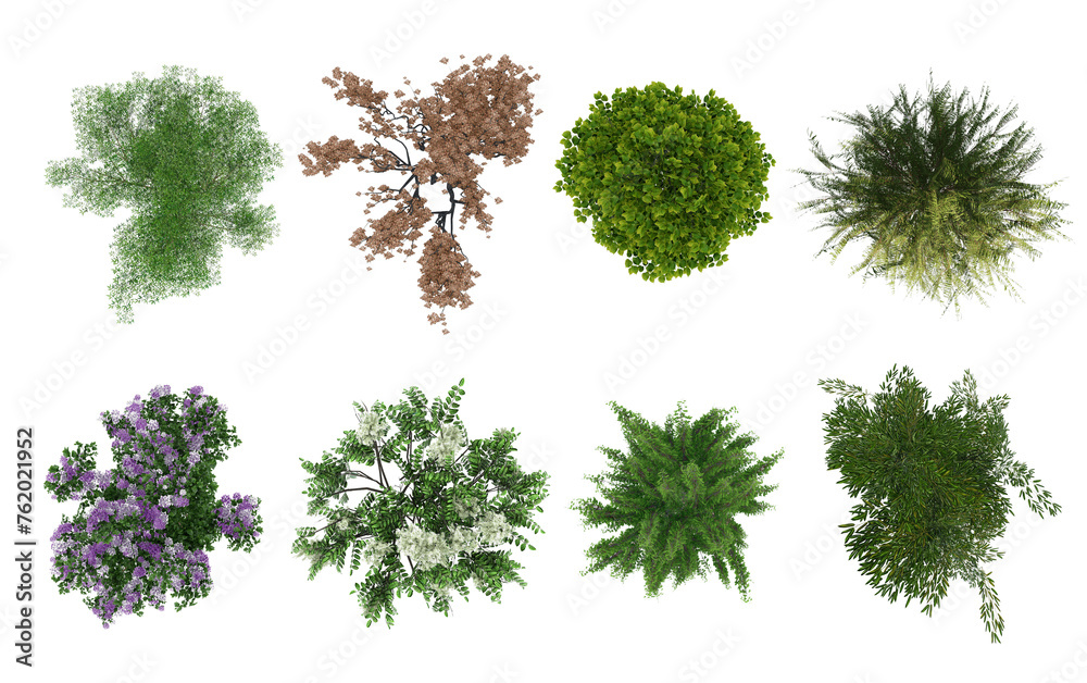 Realistic top view trees and plants Stock Illustration | Adobe Stock