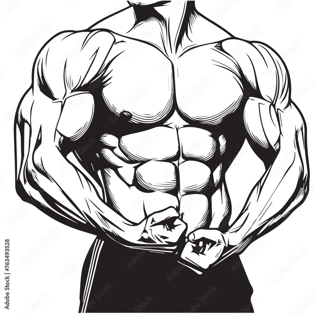 a clean body builder vector lines ,Muscular man in different poses ...
