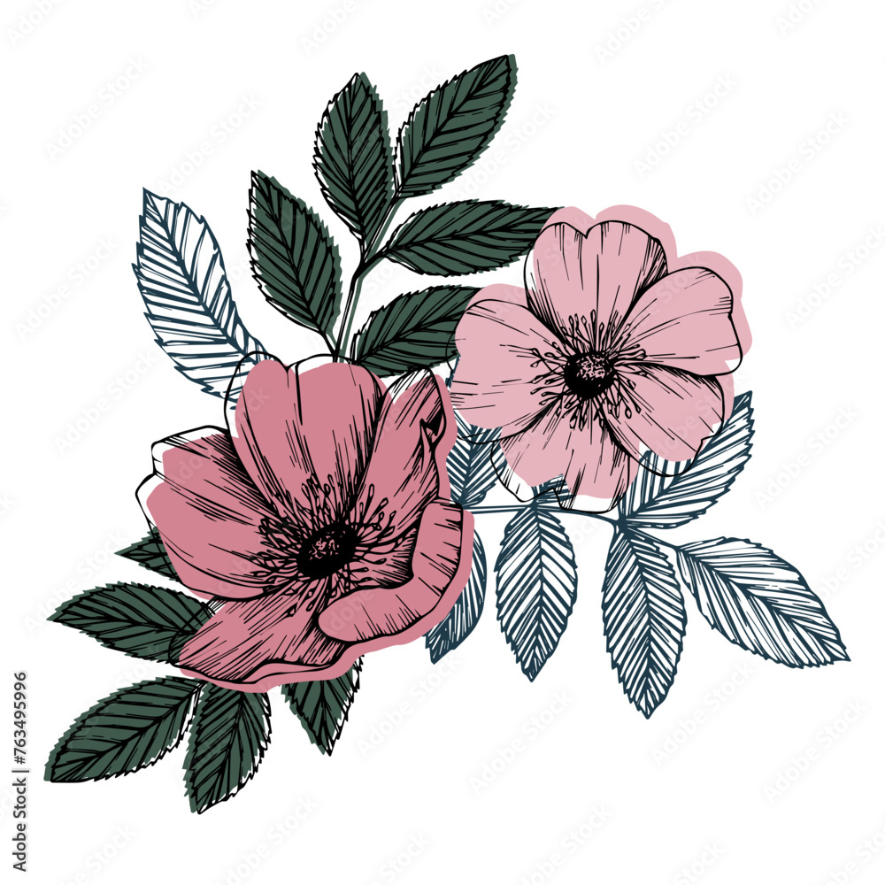 Rose hip vector composition with leaves and flowers. Wild rose ...