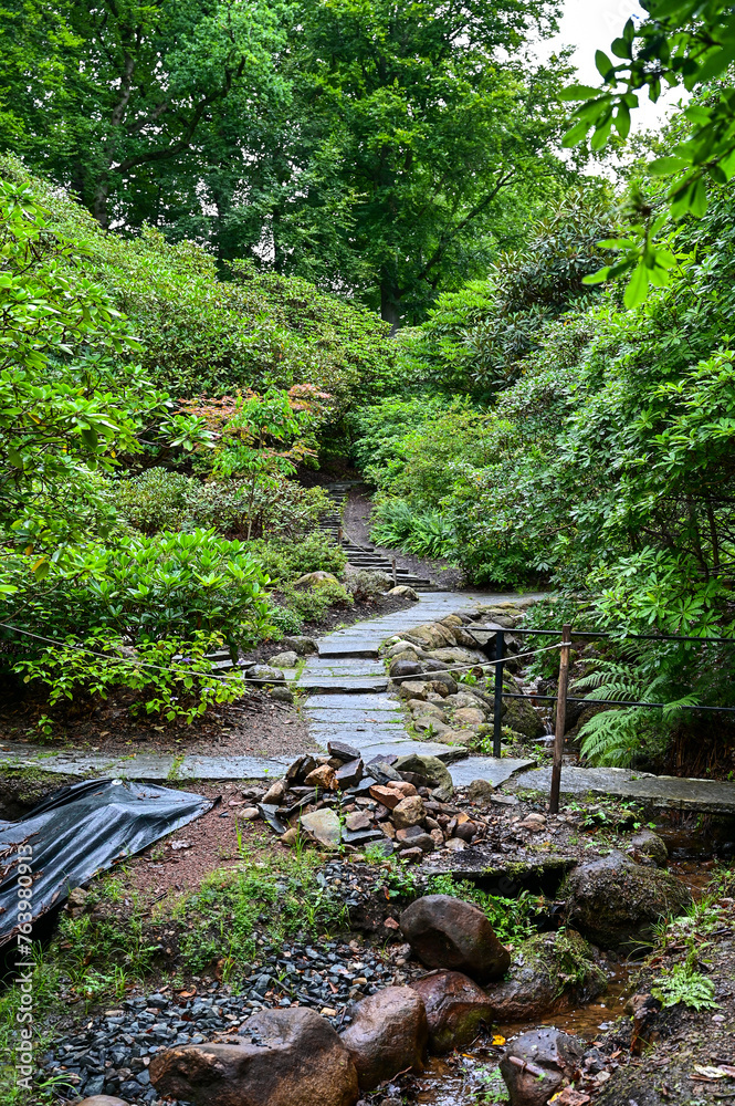 Sofiero Palace Gardens, green park with paths and large trees in Sofiero Castle, Sofiero Slott ...