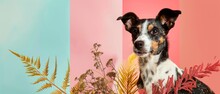 Retro Dog Geometric Free Stock Photo - Public Domain Pictures