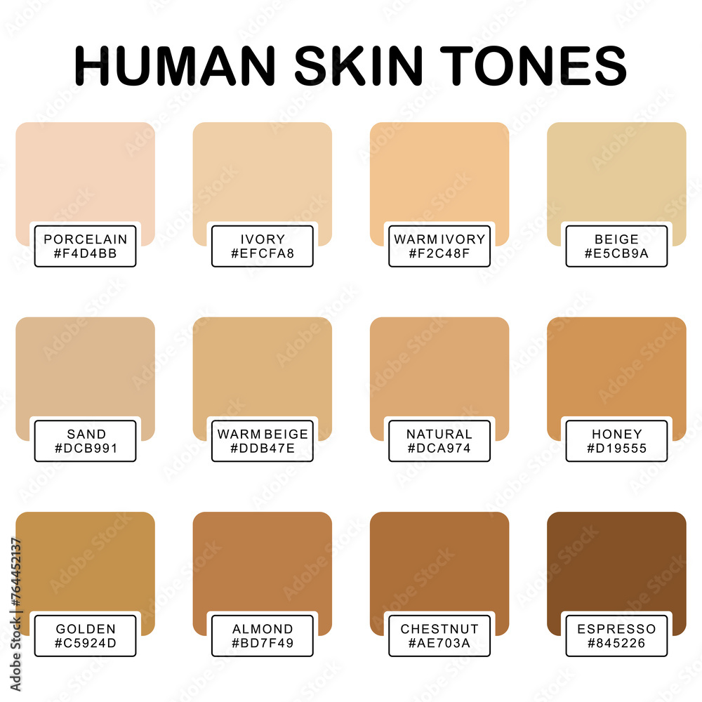 Collection Color palette, Skin tones. Flat vector illustration. skin ...