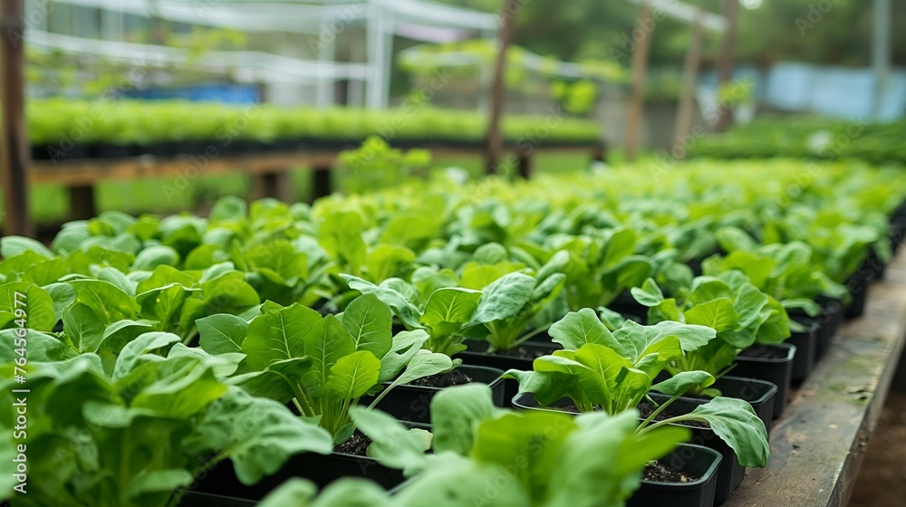 Enclosed Hydroponic Farming, Image showcasing a Closed System for ...