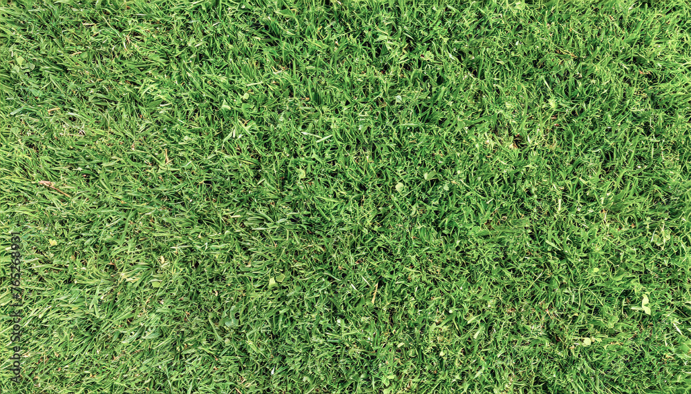neatly trimmed lawn surface, 16:9 widescreen texture wallpaper ...