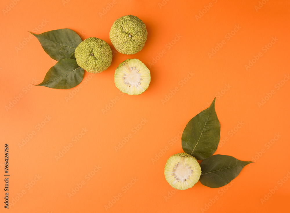 Maclura pomifera fruit as known as osage orange, horse apple, adam's ...
