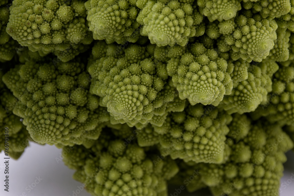 details of a biological example of Fibonacci spirals and fractals in ...