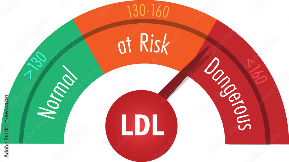 LDL Bad Cholesterol scale with number of level in normal, at risk and ...