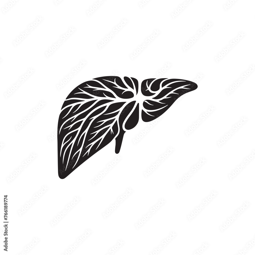 Human Liver Silhouette Vector: Depicting the Organ's Shape and Function ...