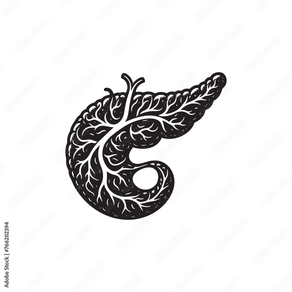 Human Pancreas Silhouette Vector: Illustrating the Vital Organ's ...