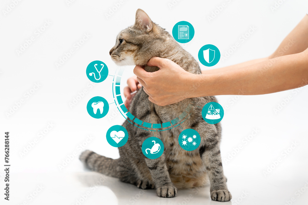 Photo Stock Observing signs of your pet's health, and care concept ...
