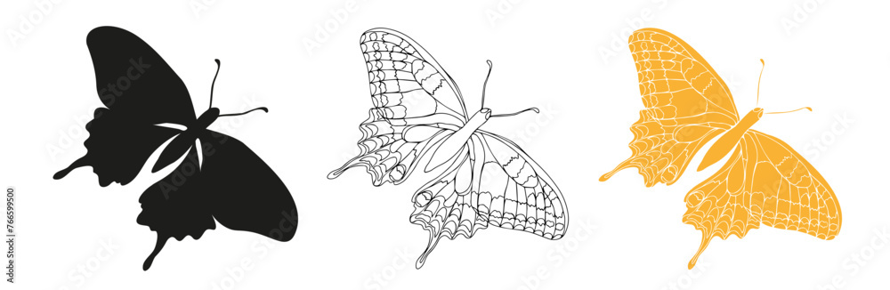 Butterfly black ink line art, silhouette illustrations. Insect set for ...
