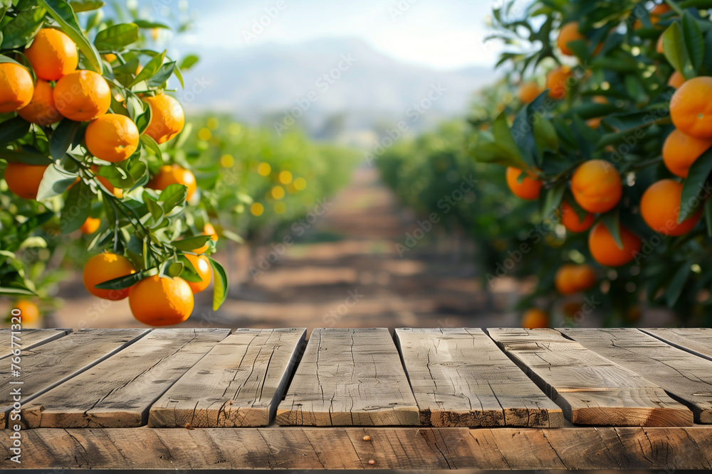 Empty wood table with free space over orange trees, orange field ...