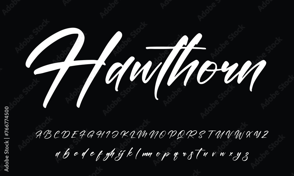 Lettering signature font isolated on grey background. brus style ...