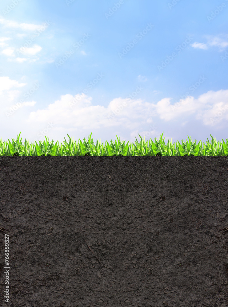 Environmental and conservation protection background. Cross section of ...