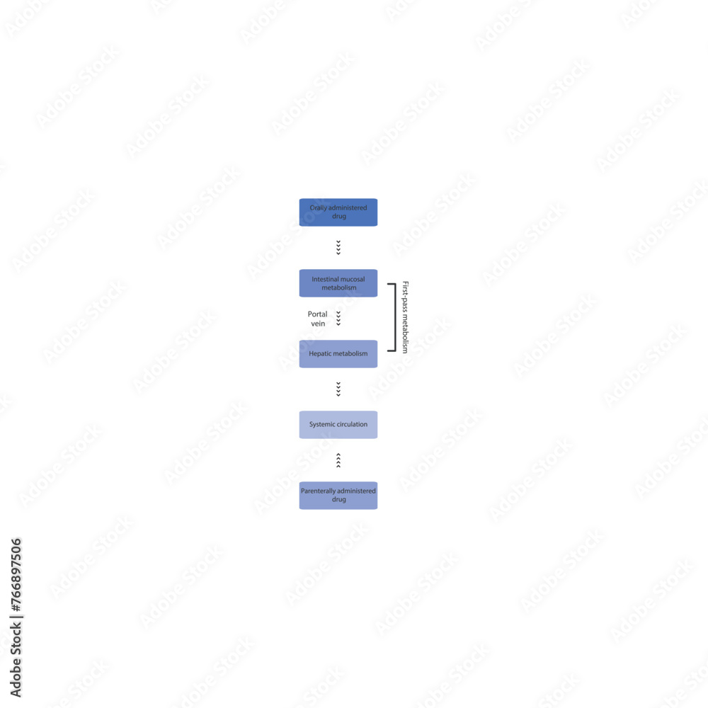 Diagram of drug first pass metabolism process - oral drug ...