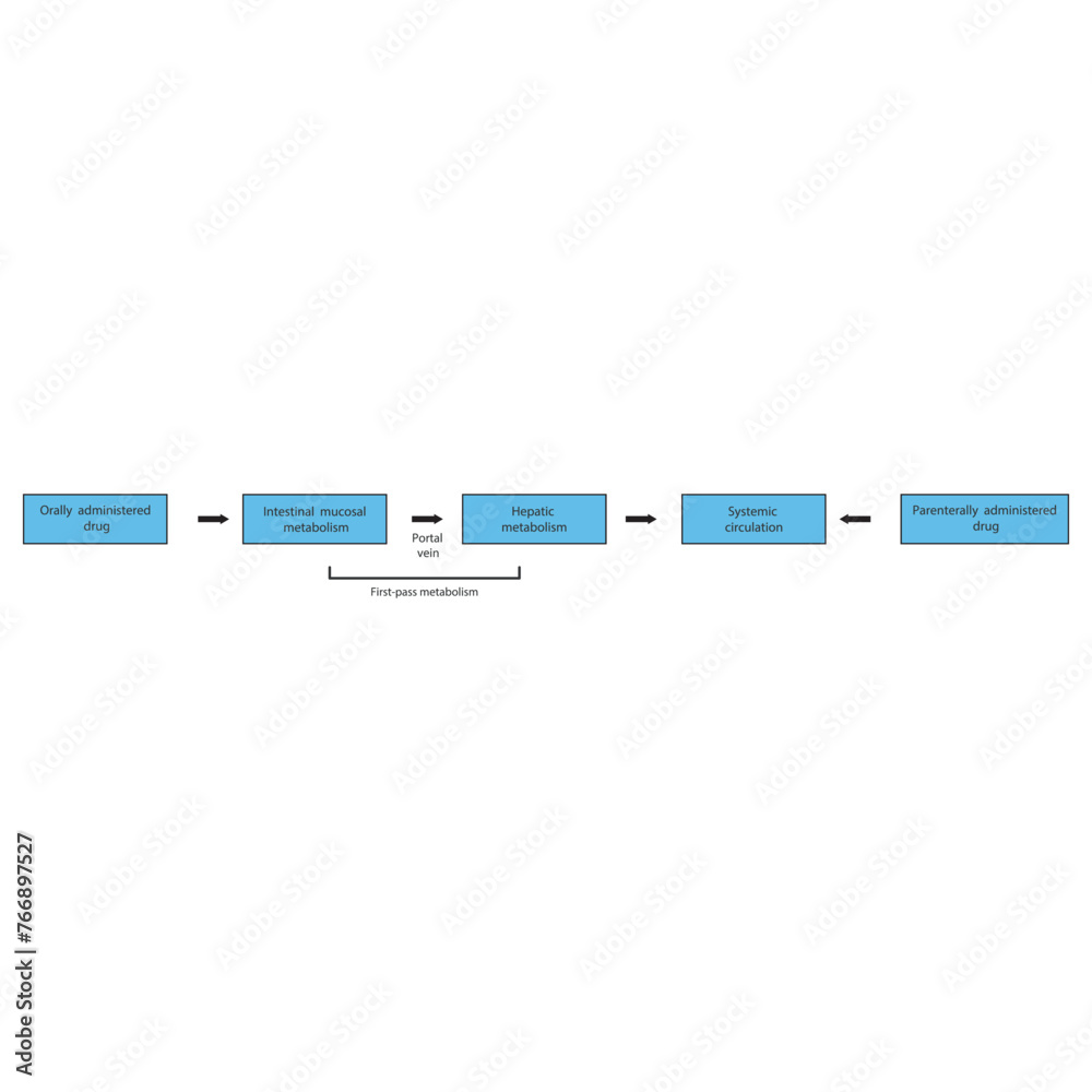 Diagram of drug first pass metabolism process - oral drug ...
