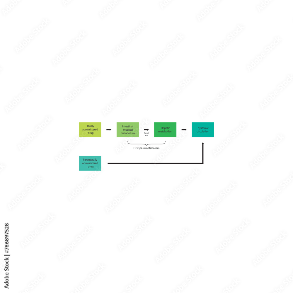 Diagram of drug first pass metabolism process - oral drug ...