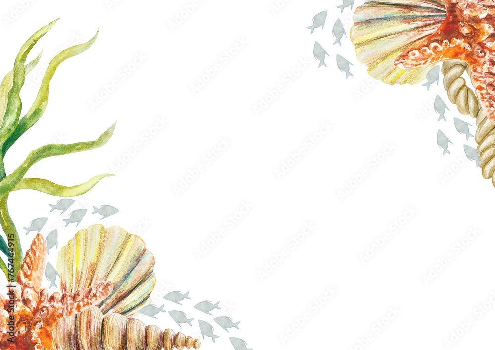 Marine frame, corner, watercolor. Seashells, algae, starfish on white ...