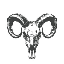 Steampunk Ram Skull Free Stock Photo - Public Domain Pictures