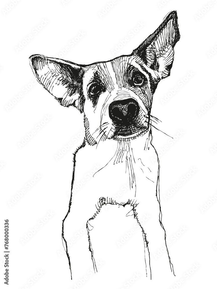 Vector portrait dog. Sketch drawing of dog. Vector illustration. Stock ...