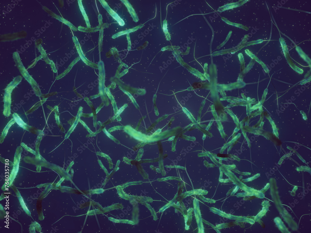 Cholera bacteria. Vibrio cholerae is a gram negative bacterium. Some ...