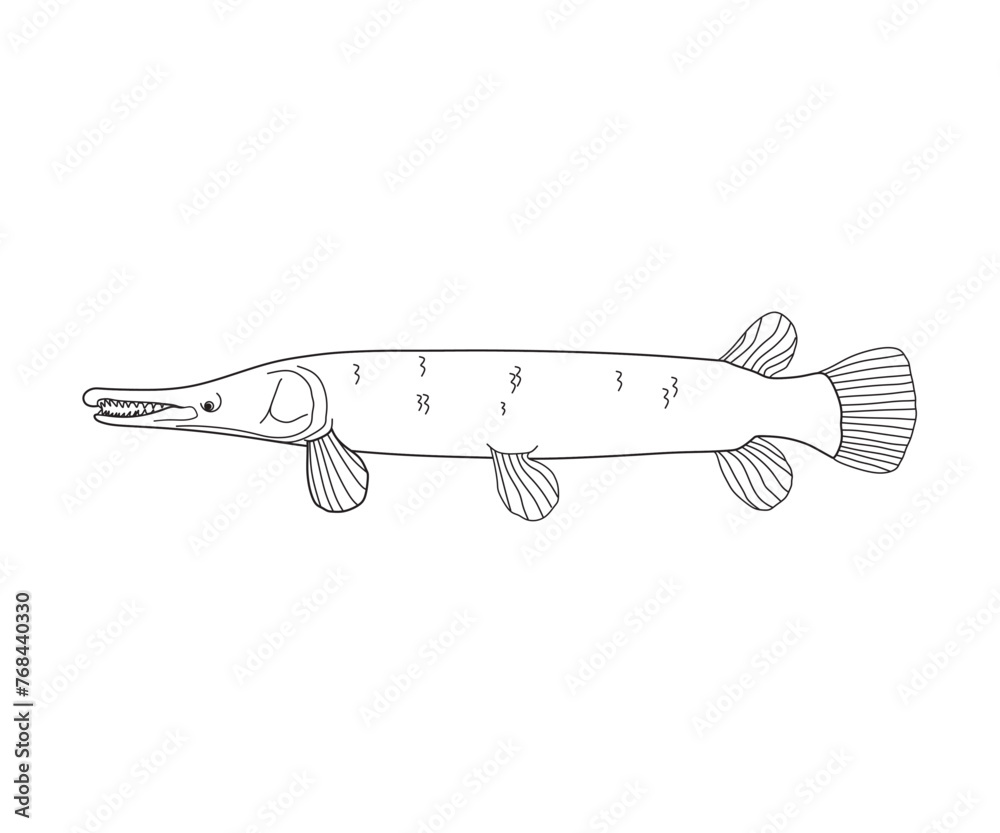 Illustration of a menacing Alligator Gar, highlighting its prehistoric ...