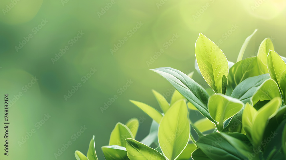 Sustainability background, climate change background, time to act ...