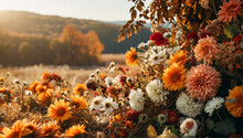 Autumn Background Of Fallen Flowers Free Stock Photo - Public Domain ...