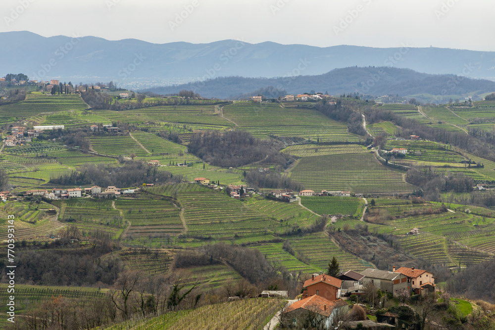 Panoramic view of the Collio hills, Cormons, between Gorizia and Nova ...