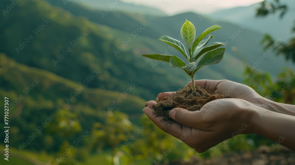Hands holding a young green plant. symbolizes the nurturing of life and ...