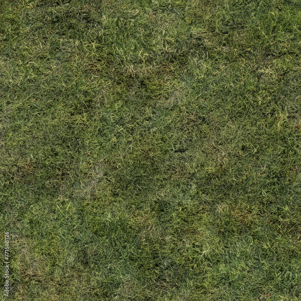 Versatile Grass Texture Seamless Material Map, Perfect for Materials ...