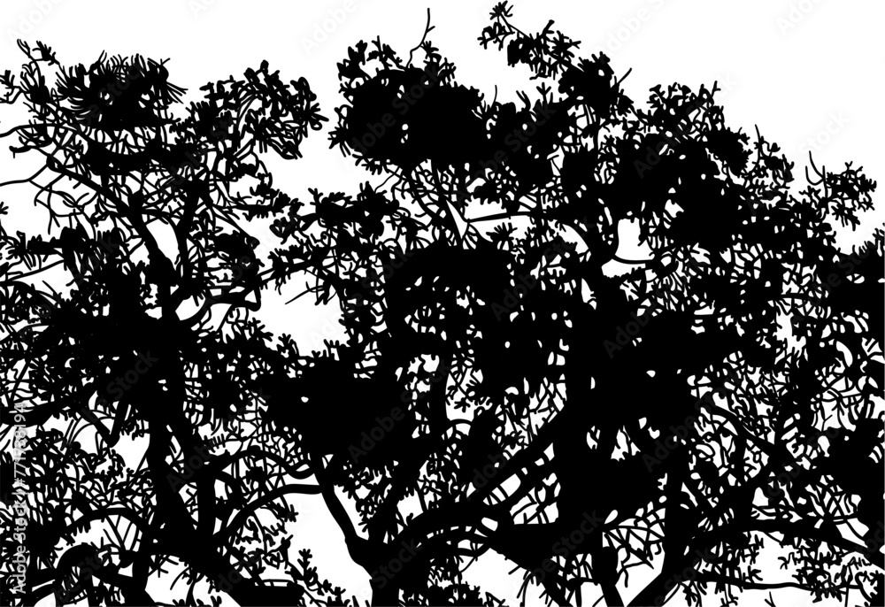 arboles, vector, silueta, paisaje, arbol, florecer, ramas, hojas ...