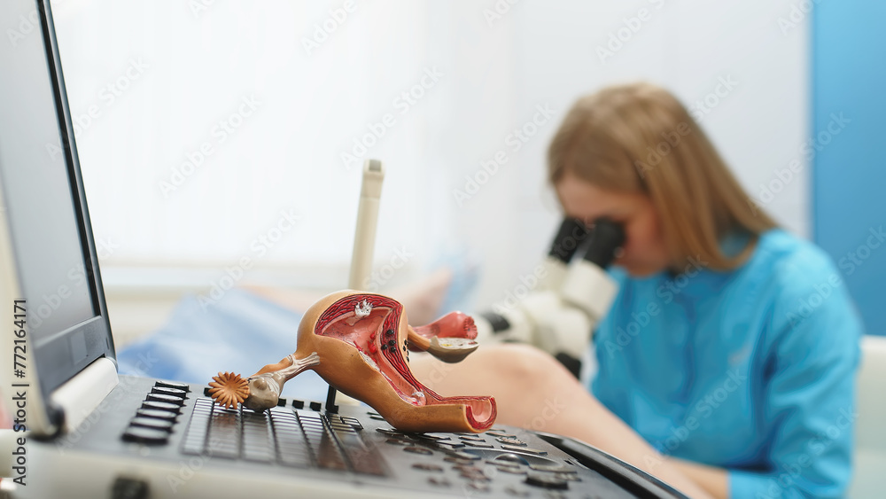 Gynecological office in a modern hospital. The gynecologist uses a ...