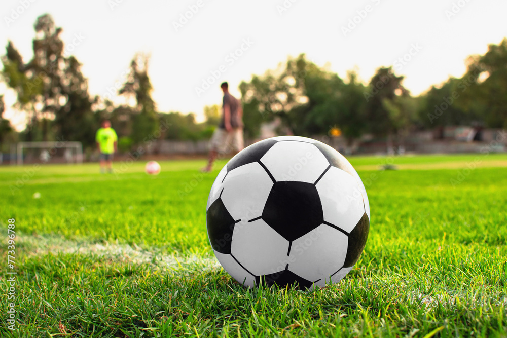 Imagen Horizontal De Un Balón De Futbol Soccer Color Blanco Con Negro Y