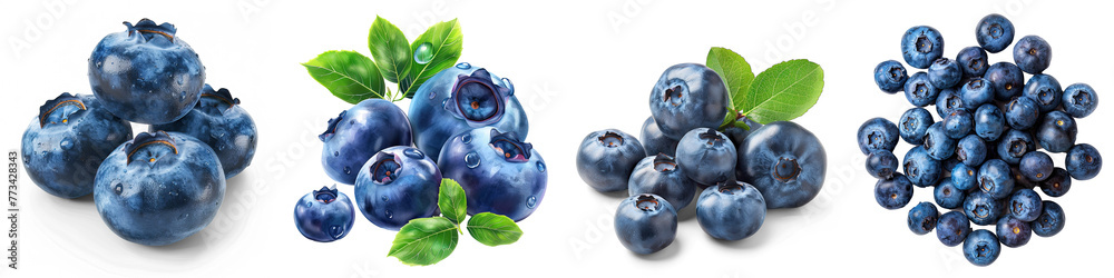 Collection of blueberries cutout png clipping path isolated on white or ...