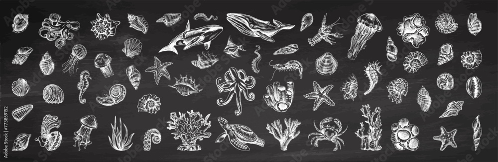 Hand-drawn undersea Animals, creatures set on chalkboard background ...