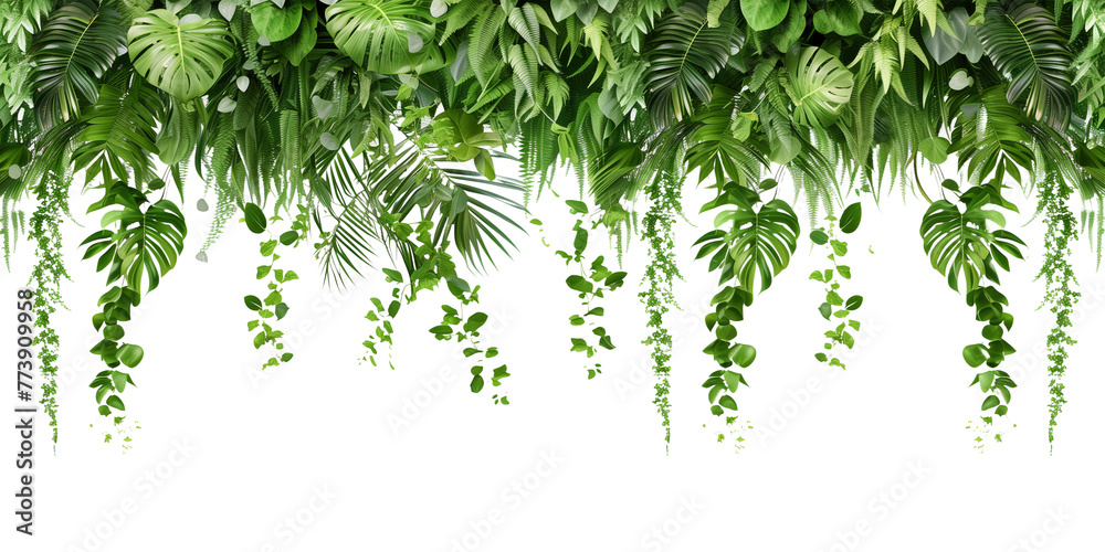 Tropical creeper border hanging, isolated on transparent background ...