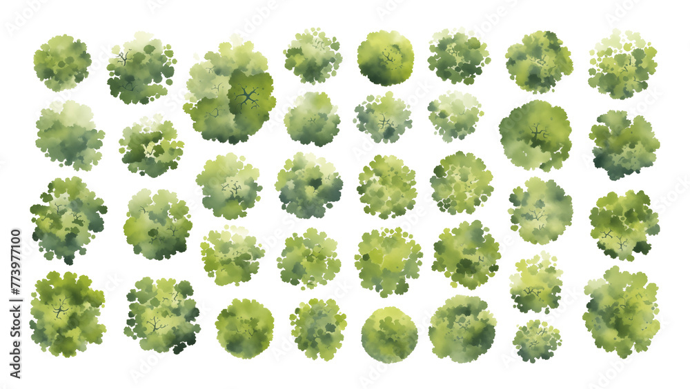 Various green trees, bushes and shrubs, top view for landscape design ...