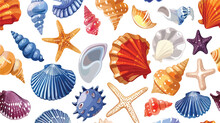Seashell Collection Close-up Free Stock Photo - Public Domain Pictures