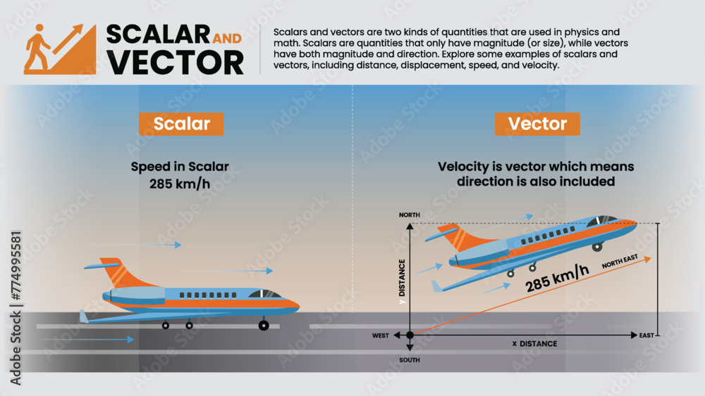 Visualizing Magnitude vs. Direction: Unveiling the Essence of Scalars ...