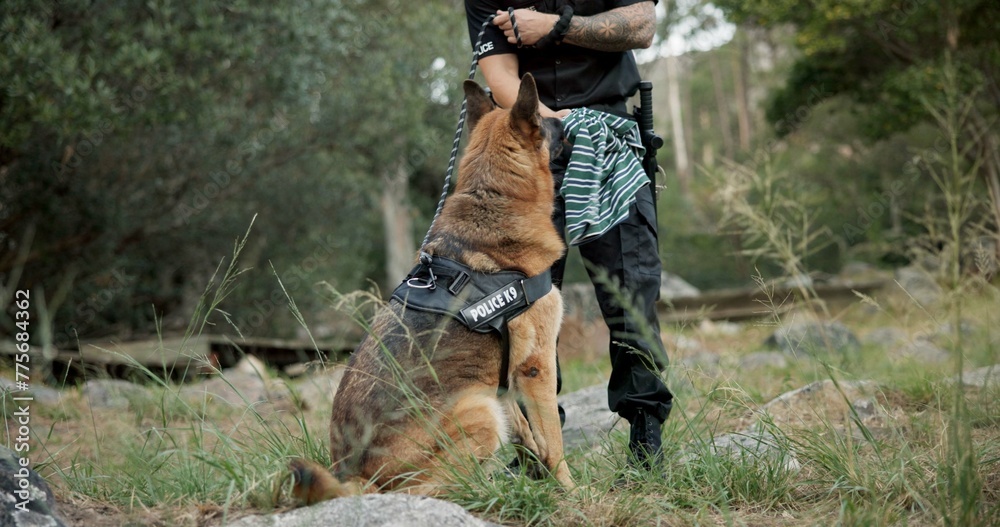 Policeman, sniffer dog or patrol a crime scene on field, first ...