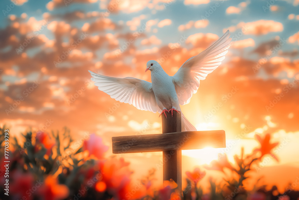 White dove with spread wings standing over the holy cross of Jesus Christ symbolize death and ...