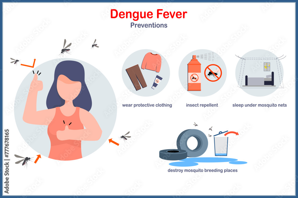 Infographic vector illustration of dengue fever prevention,wear ...
