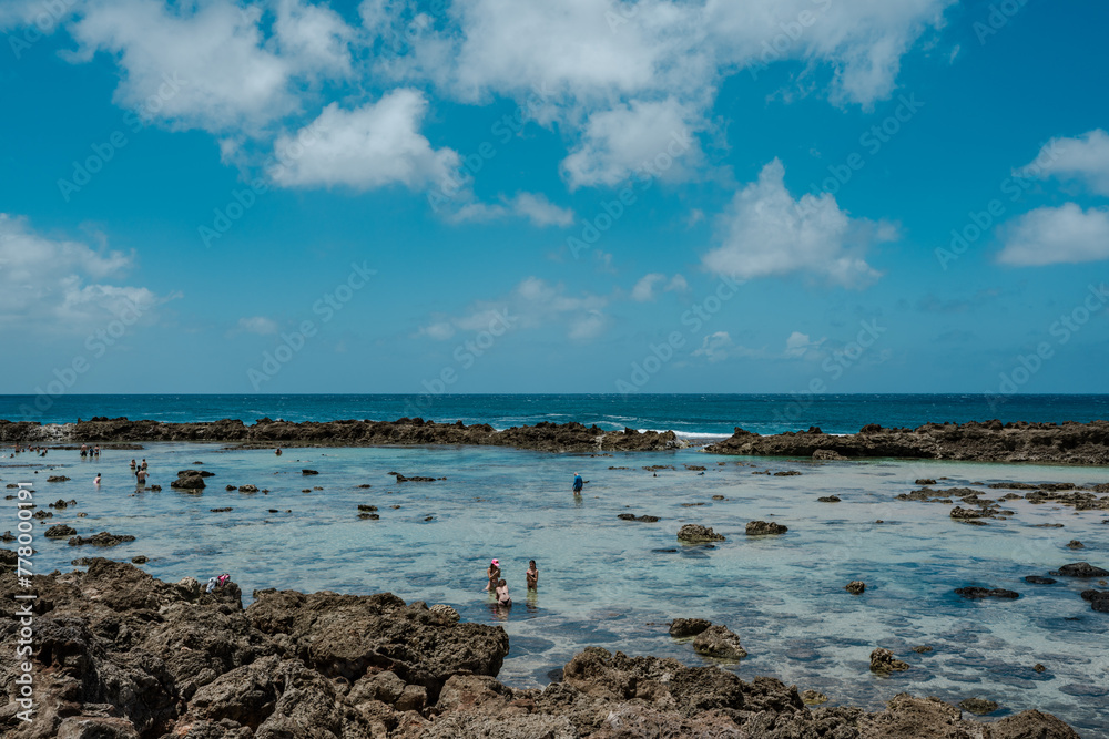 Shark’s Cove North Shore Oahu Hawaii. reef deposits. Snorkeling ...