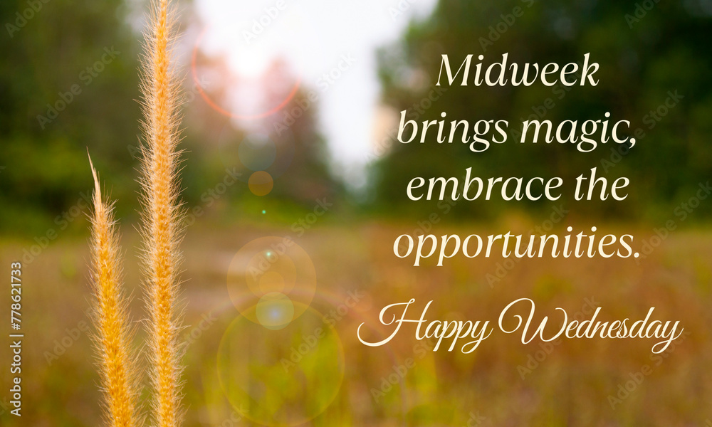 Midweek brings magic, embrace the opportunities. Happy Wednesday ...