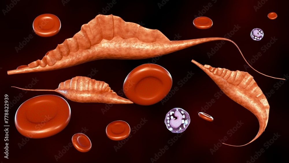 3d rendering protozoans of the genus Trypanosoma, it causes Human ...