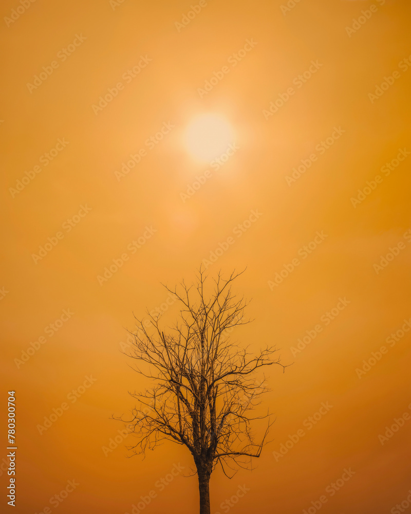 Climate change and global warming. Extreme hot weather. Heat wave ...