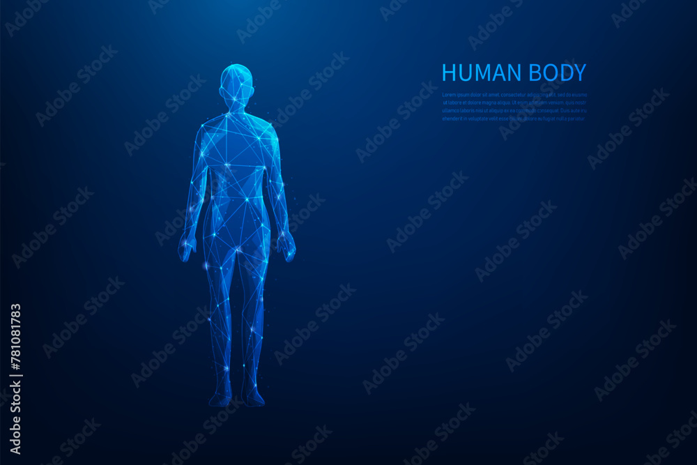 human body science low poly wireframe technology on blue background ...