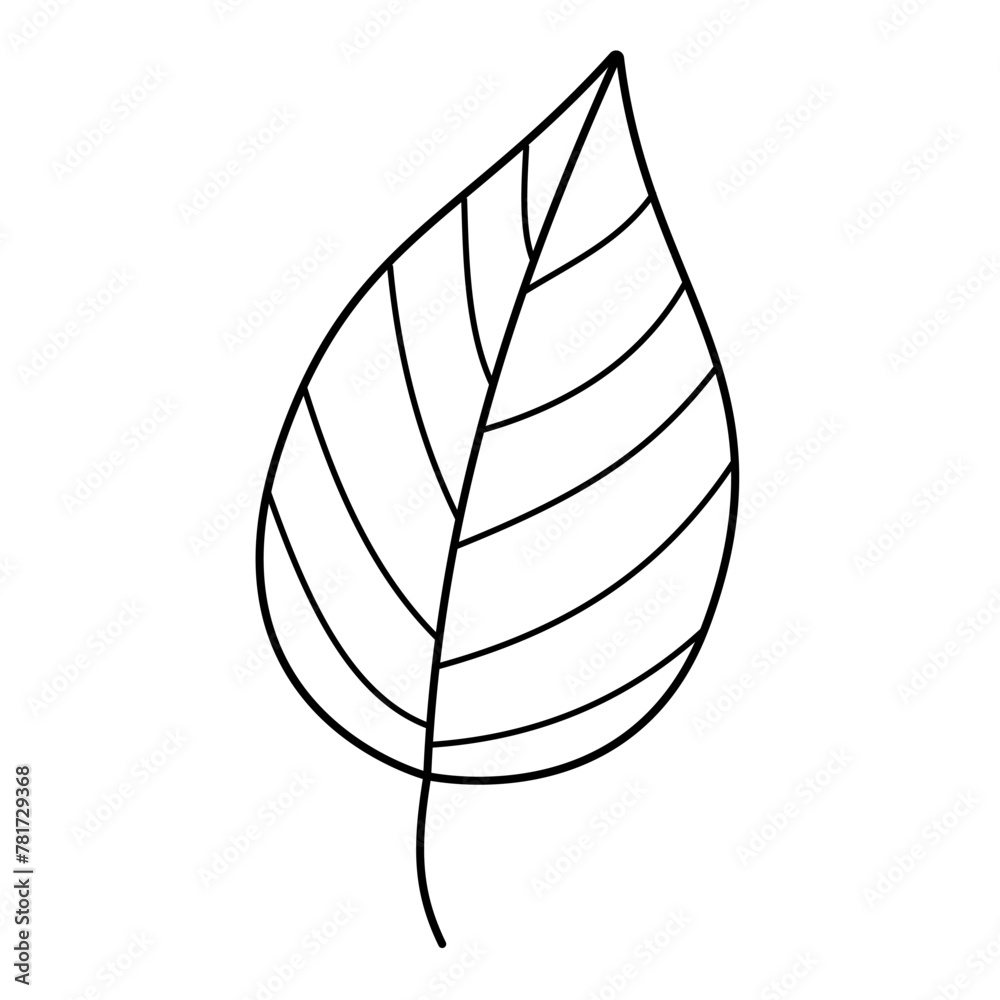 Tree leaf contour drawing isolated cutout black and white vector ...